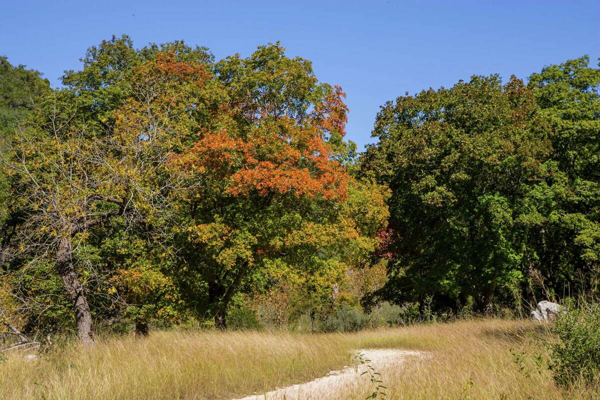 10 best birding spots in Texas