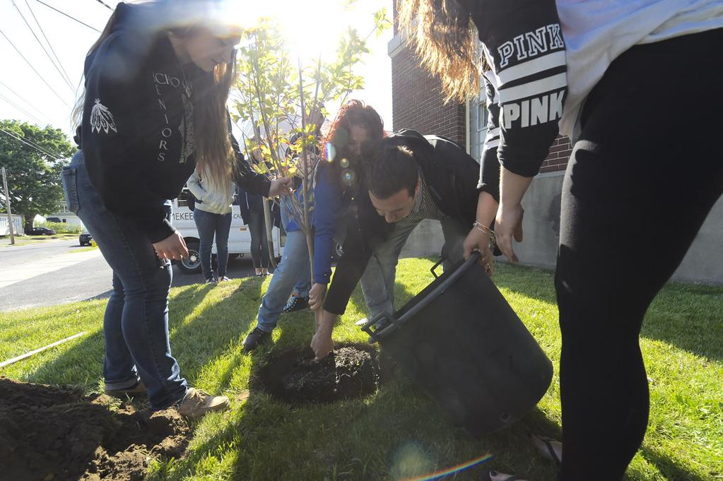 Photos: Planting a tree for Carly Sinnott, the teen who died at Plotter ...
