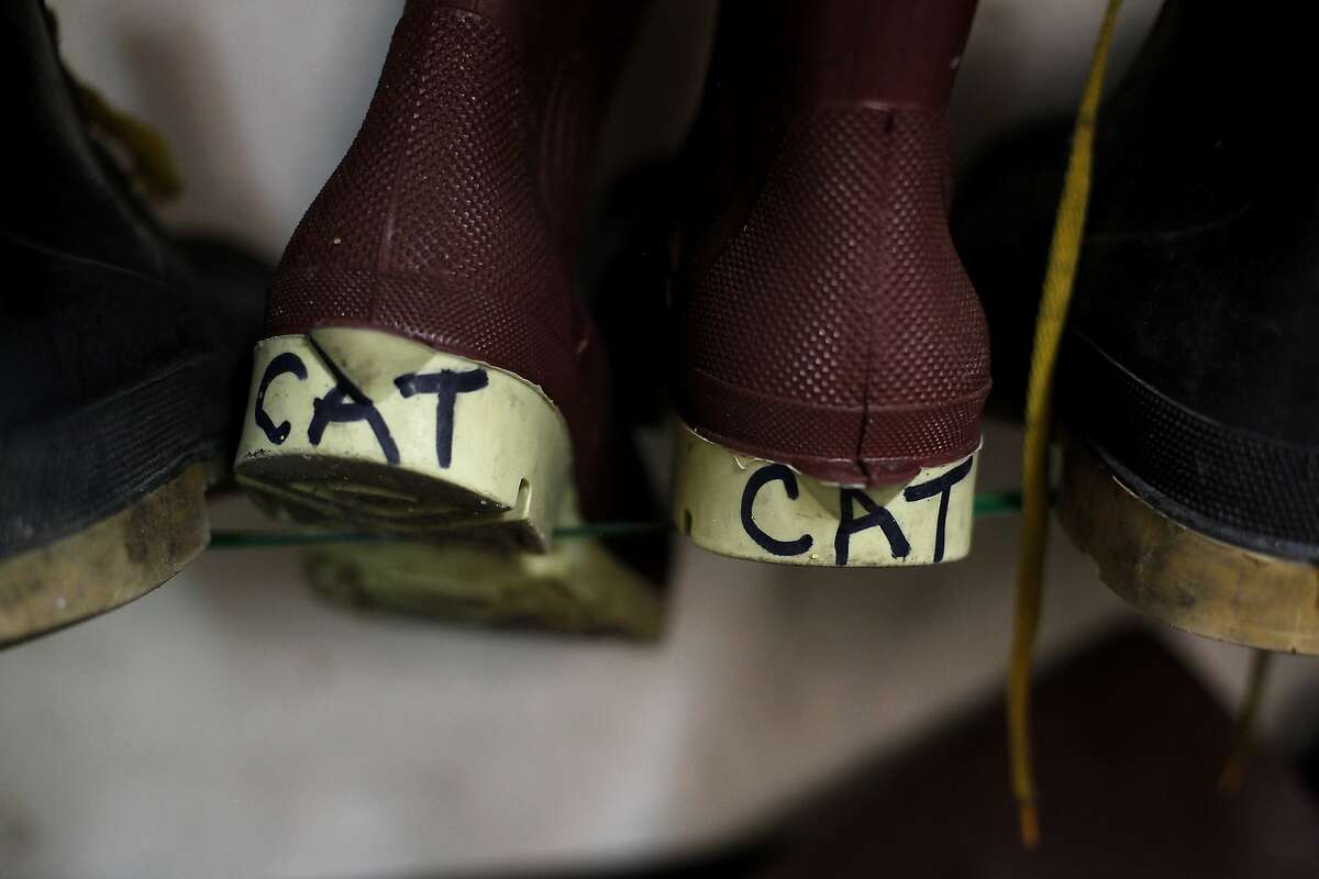 Bromance with beer? Over.