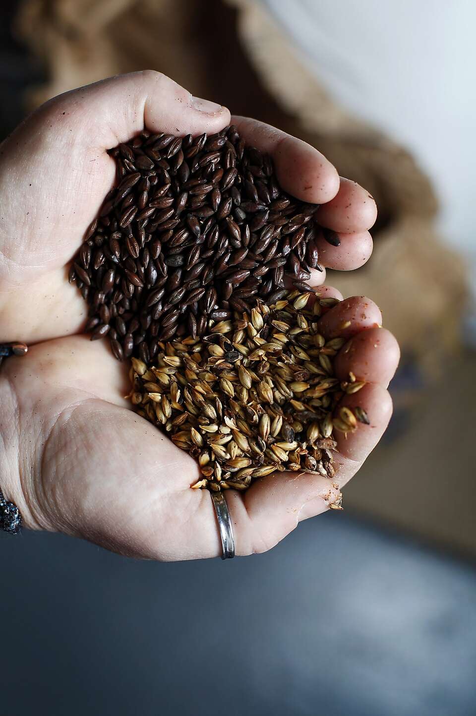 Bromance with beer? Over.