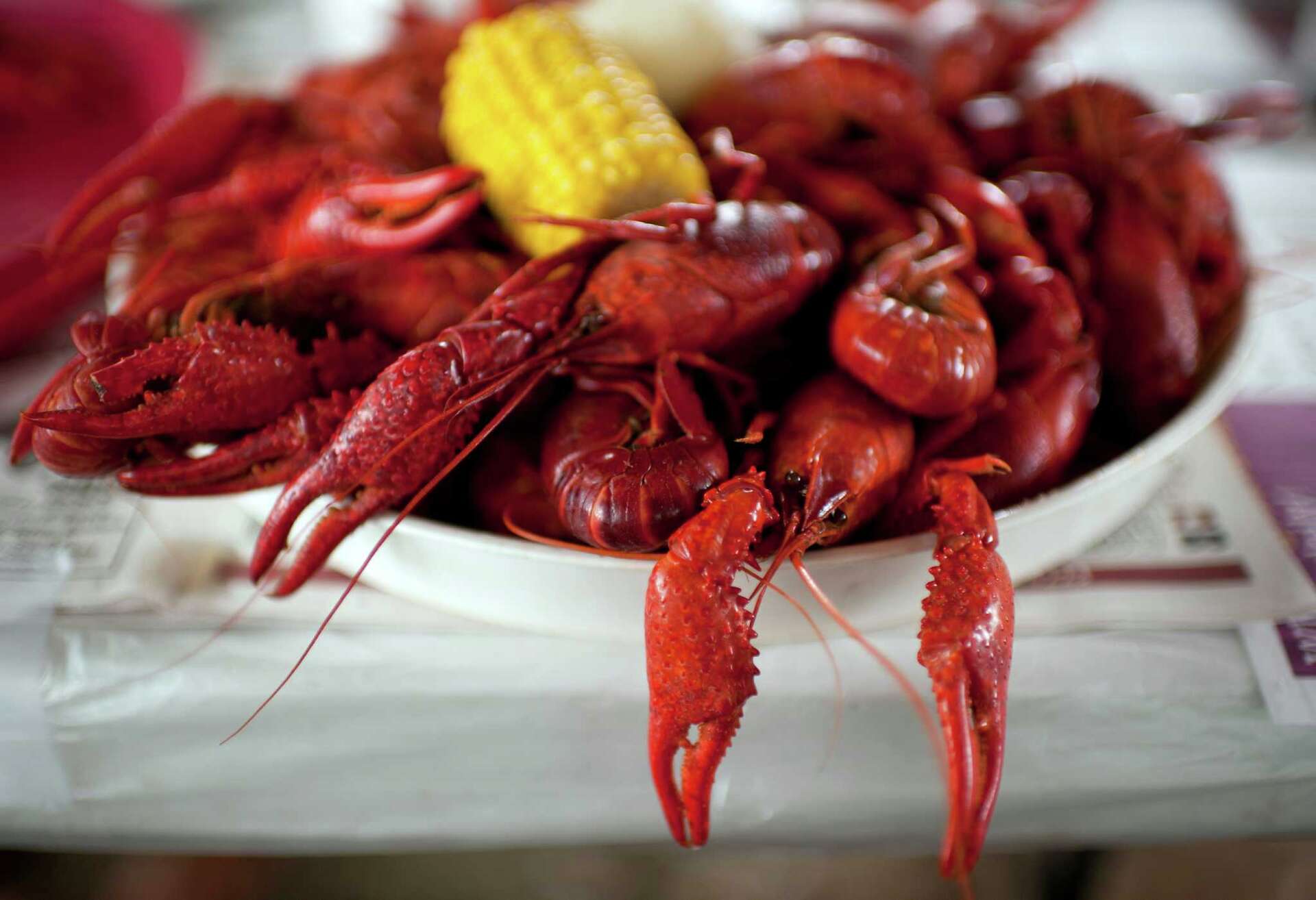 Lafayette: Food is only half the fun in this Cajun mecca