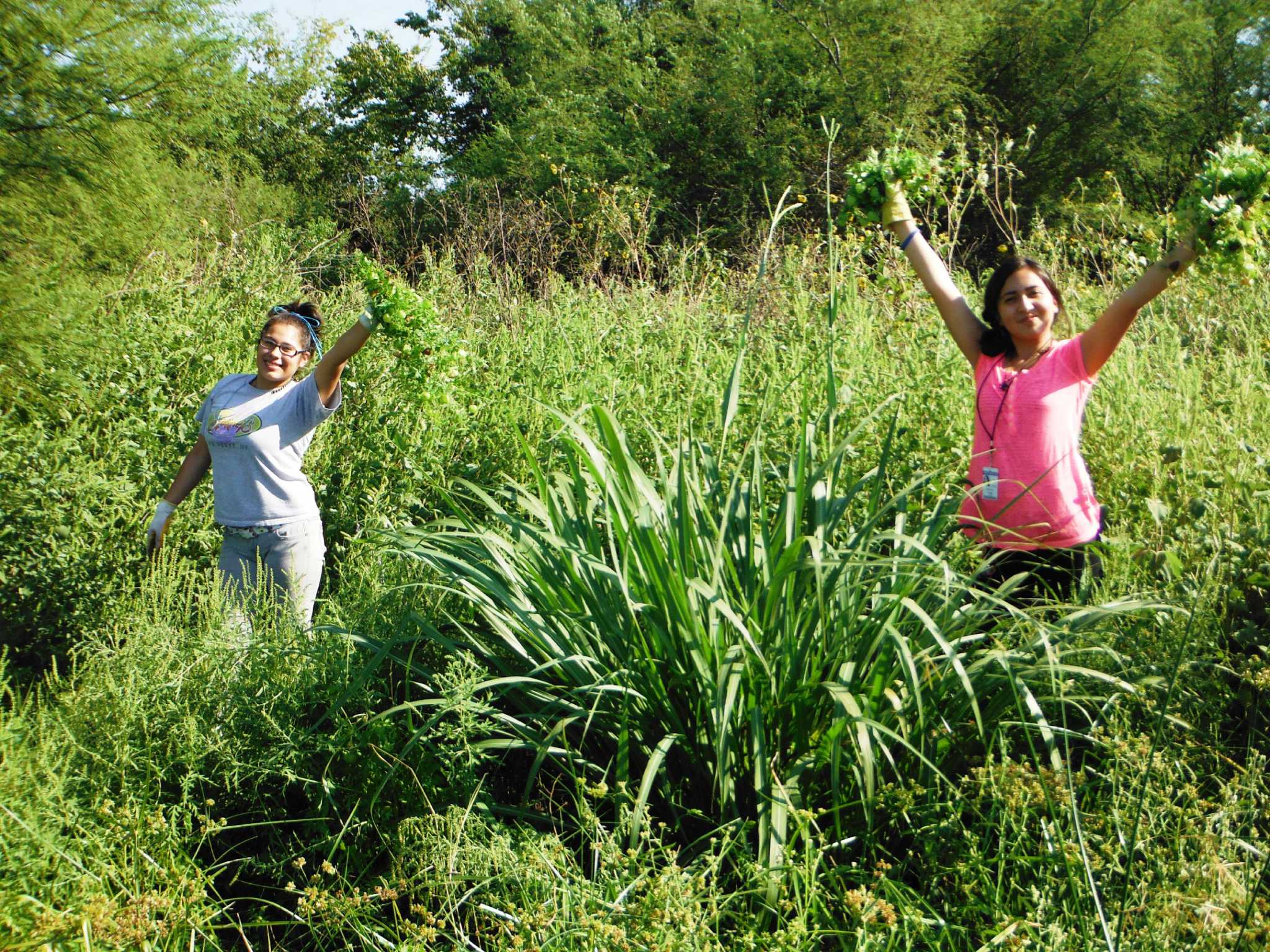 Pocket prairie becomes classroom for students