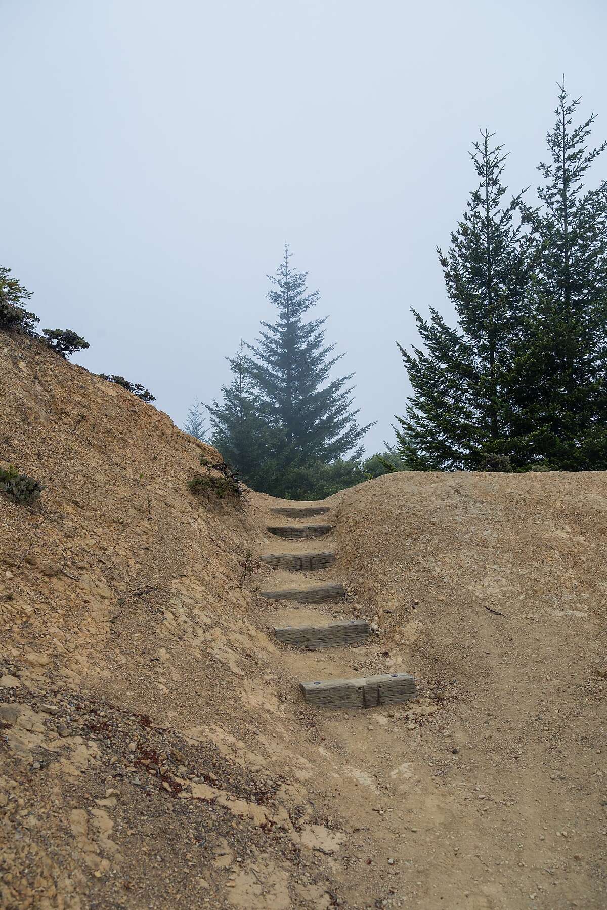 Mill Valley: Explore the town, trails and mountain