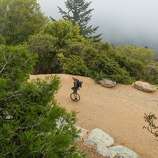 Mill Valley: Explore the town, trails and mountain - SFGate