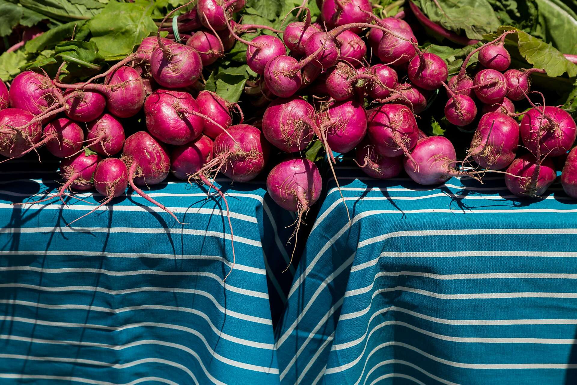 Marin Farmers’ Market 3rd largest in state, and growing