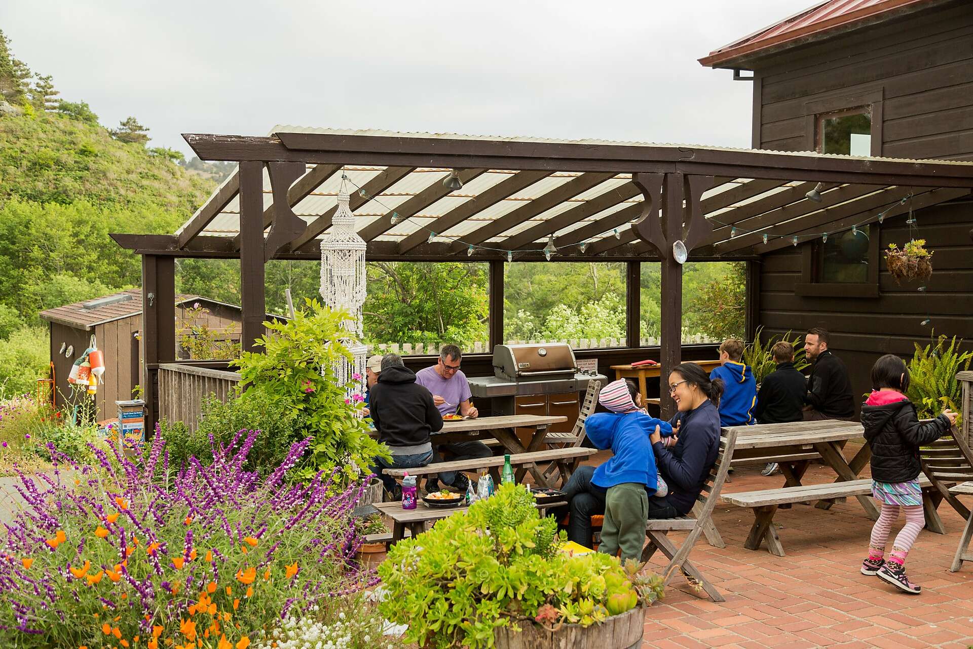 Deer, sea, waterfalls beckon in Point Reyes