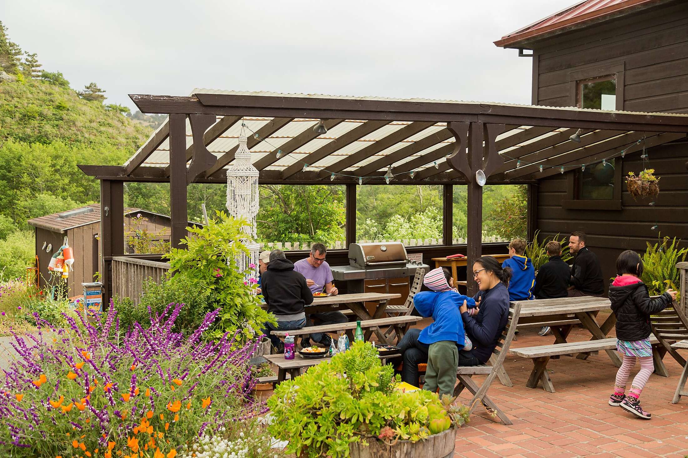 Deer, sea, waterfalls beckon in Point Reyes
