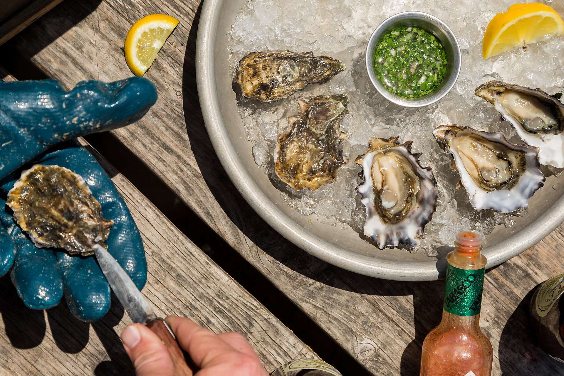 Deer, sea, waterfalls beckon in Point Reyes