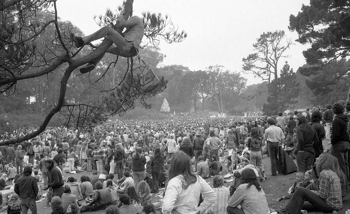 Grateful Dead in SF: Surprise Golden Gate Park concert a Deadhead delight