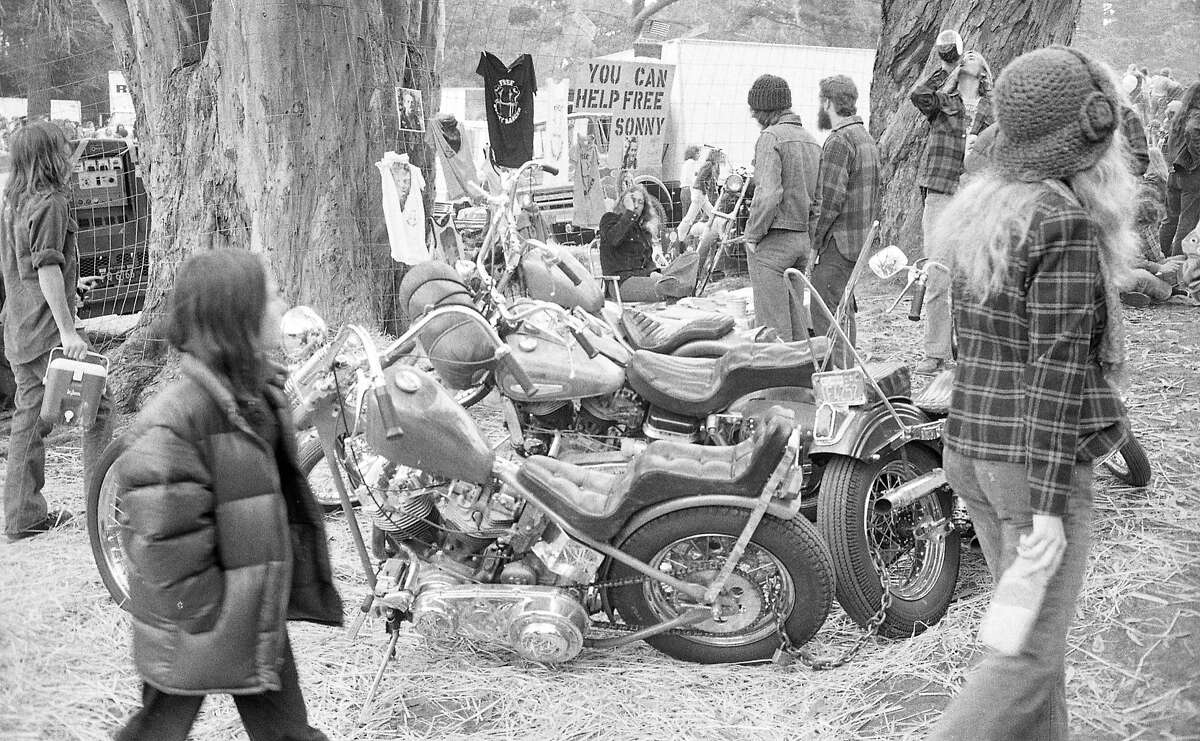 Grateful Dead in SF: Surprise Golden Gate Park concert a Deadhead delight