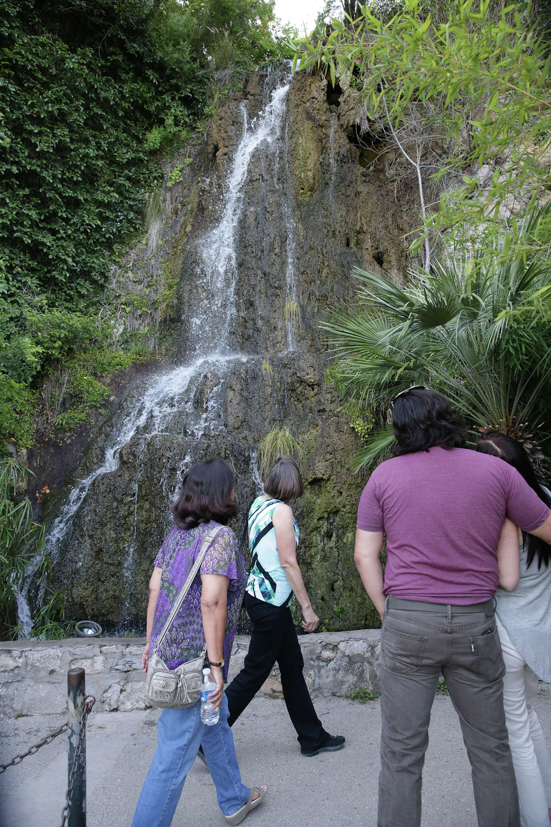 Japanese Tea Garden Waterfall