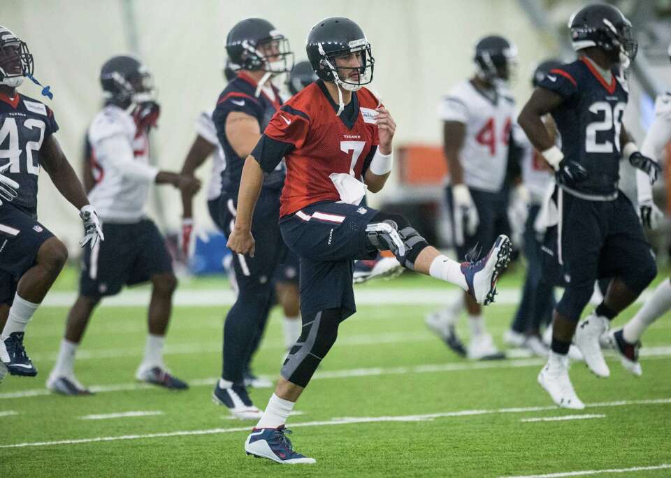 Mallett, Hoyer an odd couple as they vie to be Texans starting QB