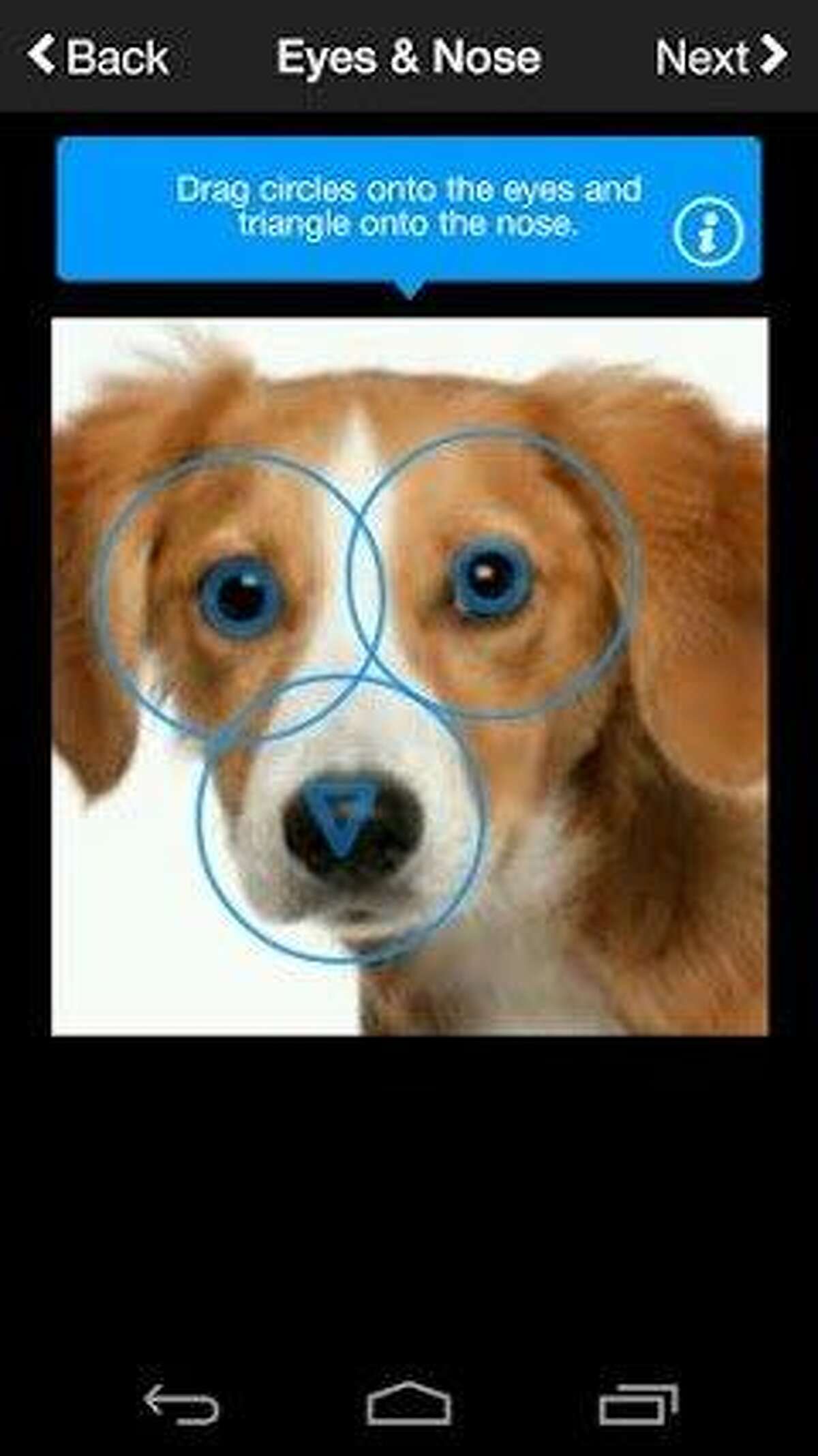 ACS launches pet facial-recognition app