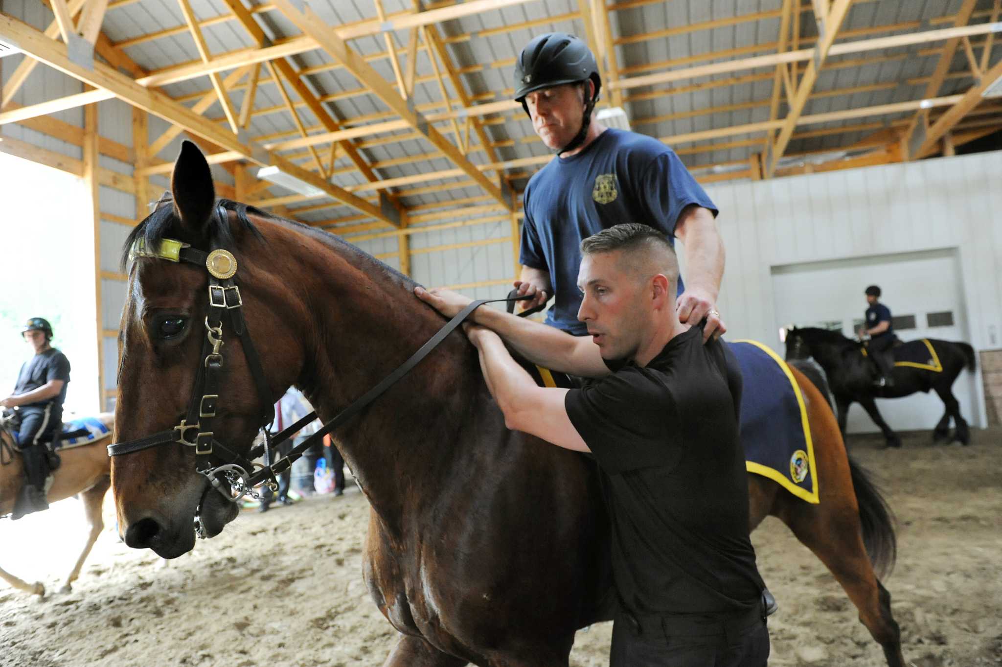 NYS Park Police mounted unit takes to the streets