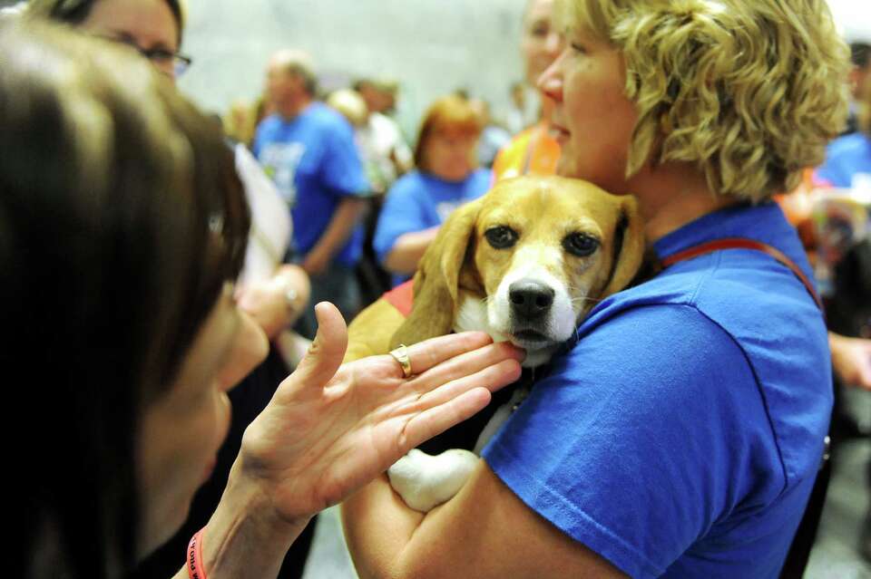 Dogs grab the spotlight on Animal Advocacy Day
