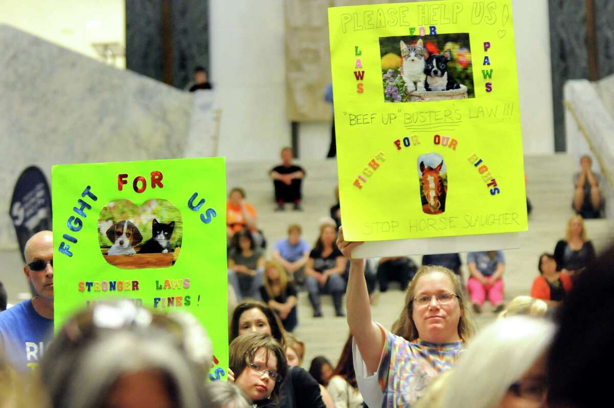 Dogs grab the spotlight on Animal Advocacy Day