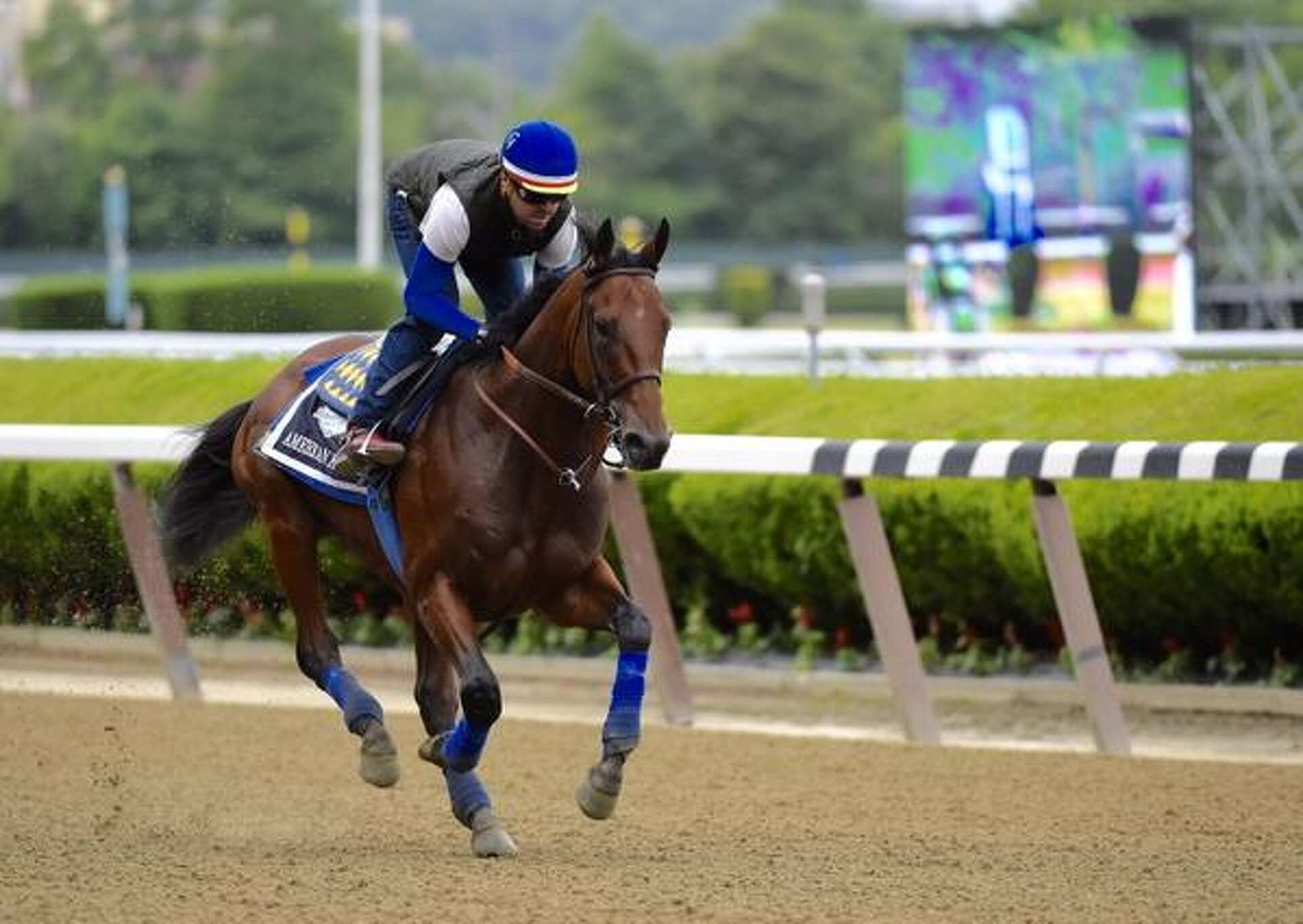 Photos: American Pharoah gets in final workout
