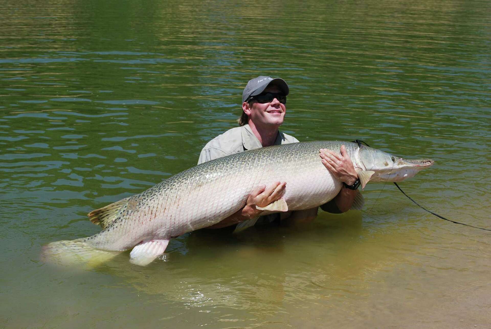 Texas' own 'Fish Whisperer' catches an 8-foot alligator gar in the ...