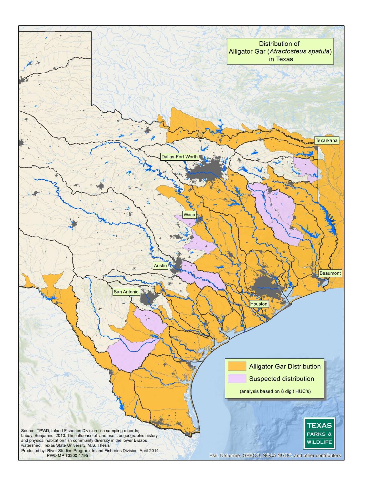 Texas' own 'Fish Whisperer' catches an 8-foot alligator gar in the ...