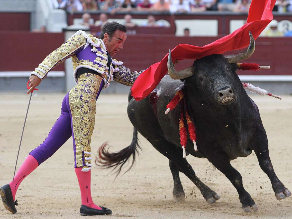 Bullfighting attracts crowds in Madrid