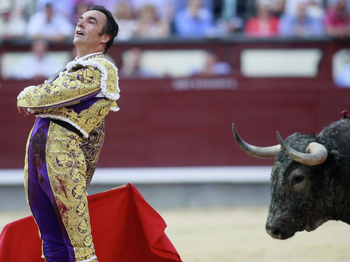 Bullfighting attracts crowds in Madrid