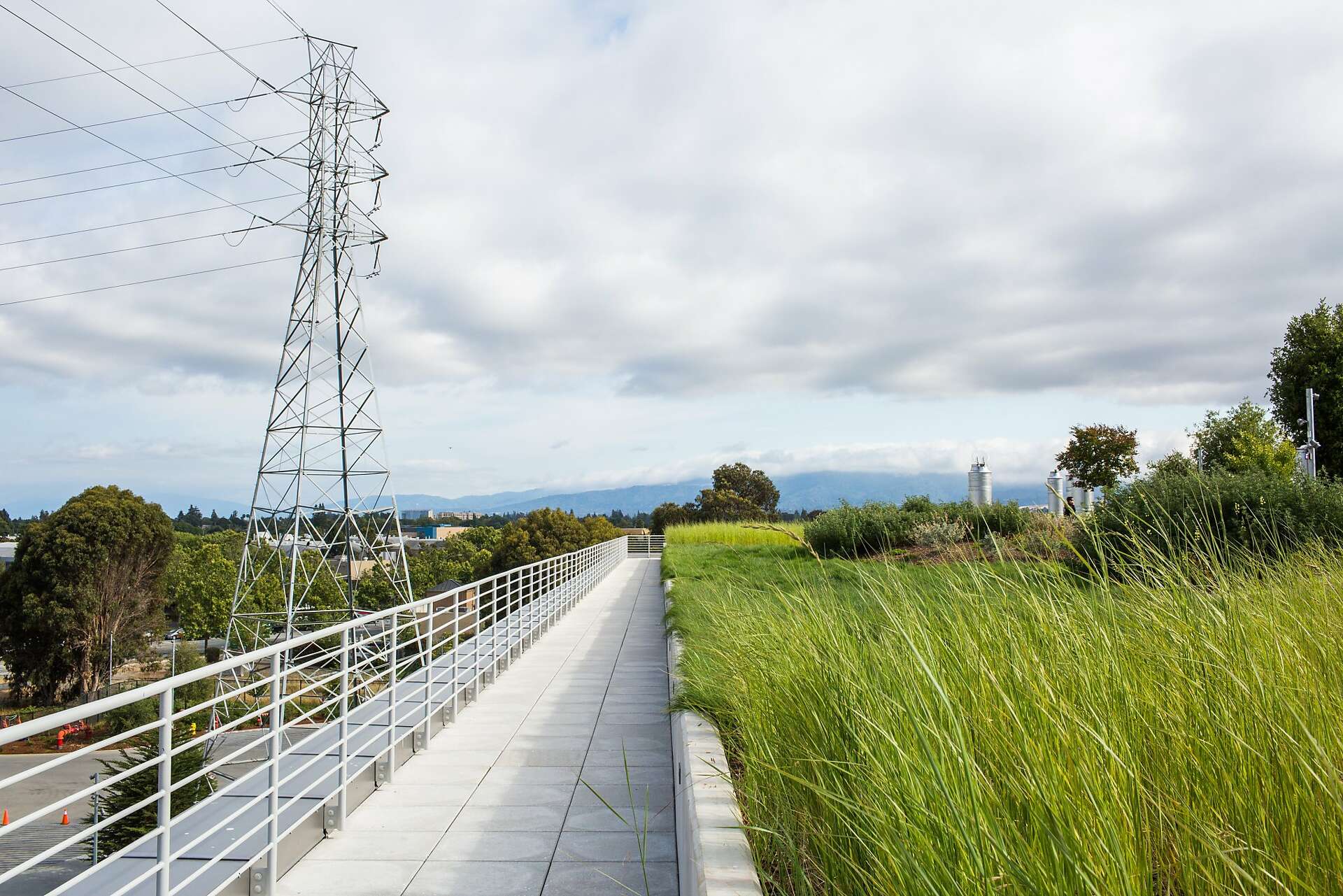 How does Facebook plant its garden? In sync with nature