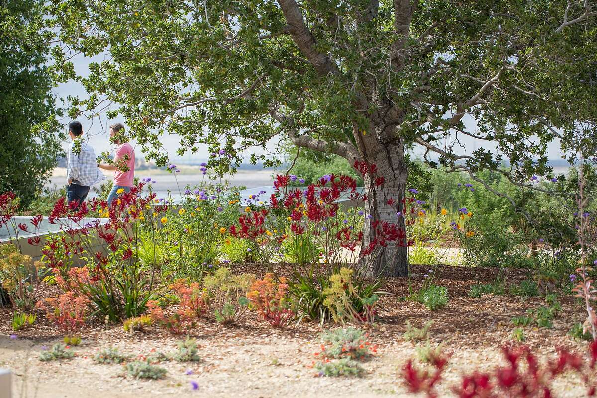 How does Facebook plant its garden? In sync with nature