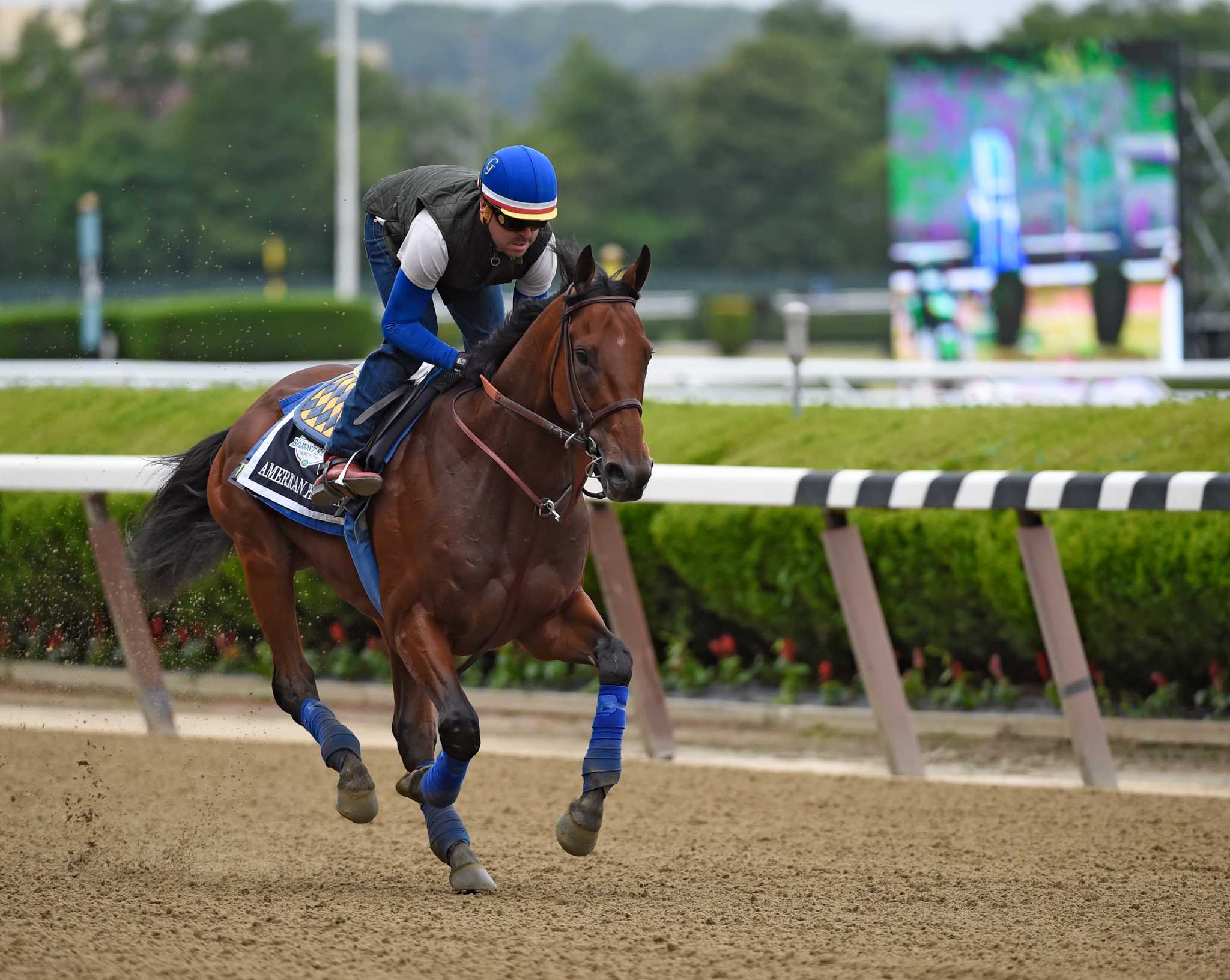 A closer look at Belmont field