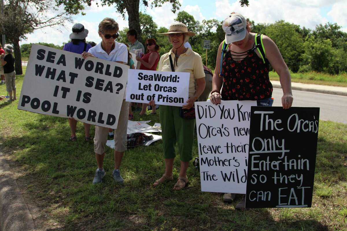 Protesters gather outside SeaWorld San Antonio to call for them to ...