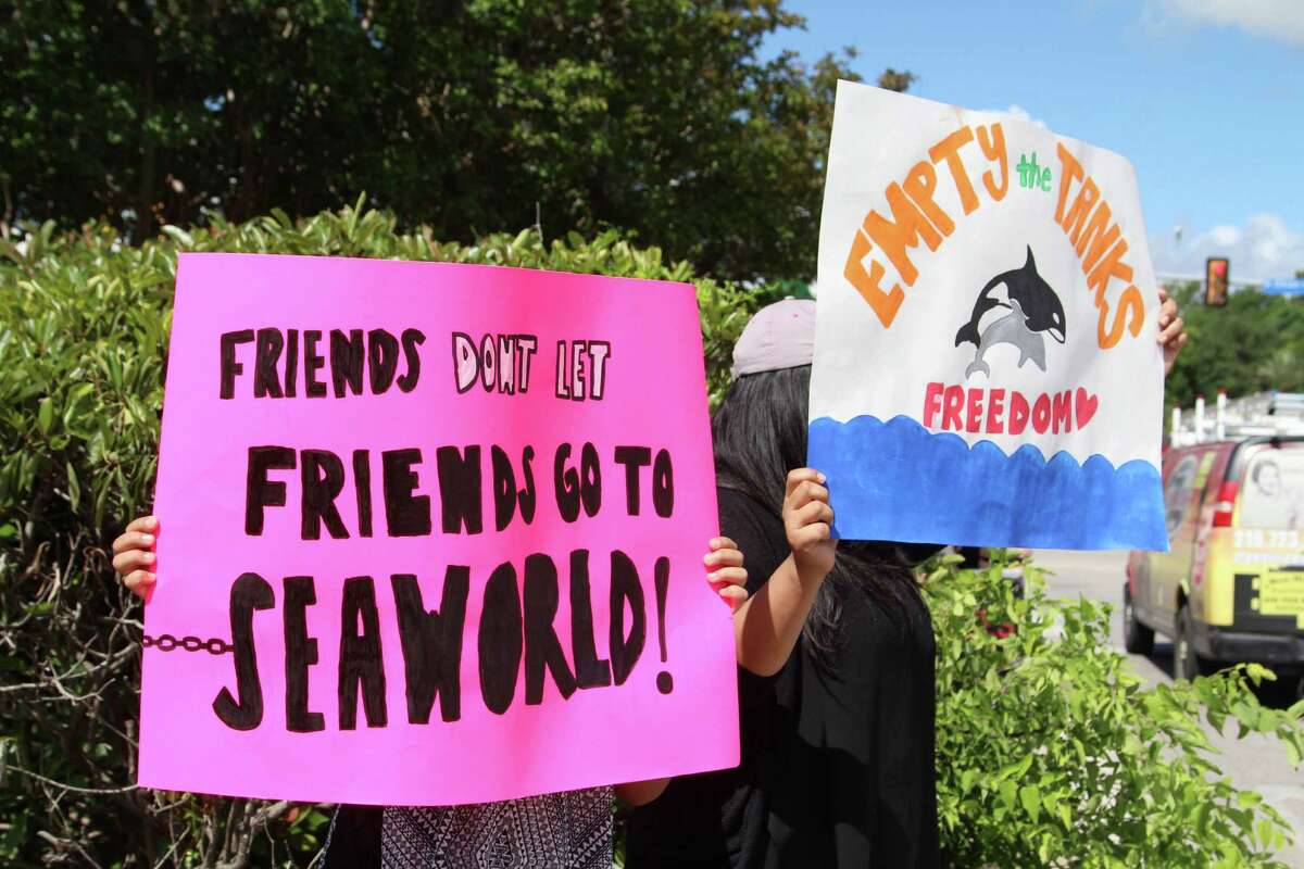 Protesters gather outside SeaWorld San Antonio to call for them to ...