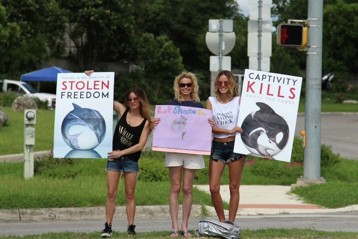 Protesters gather outside SeaWorld San Antonio to call for them to ...