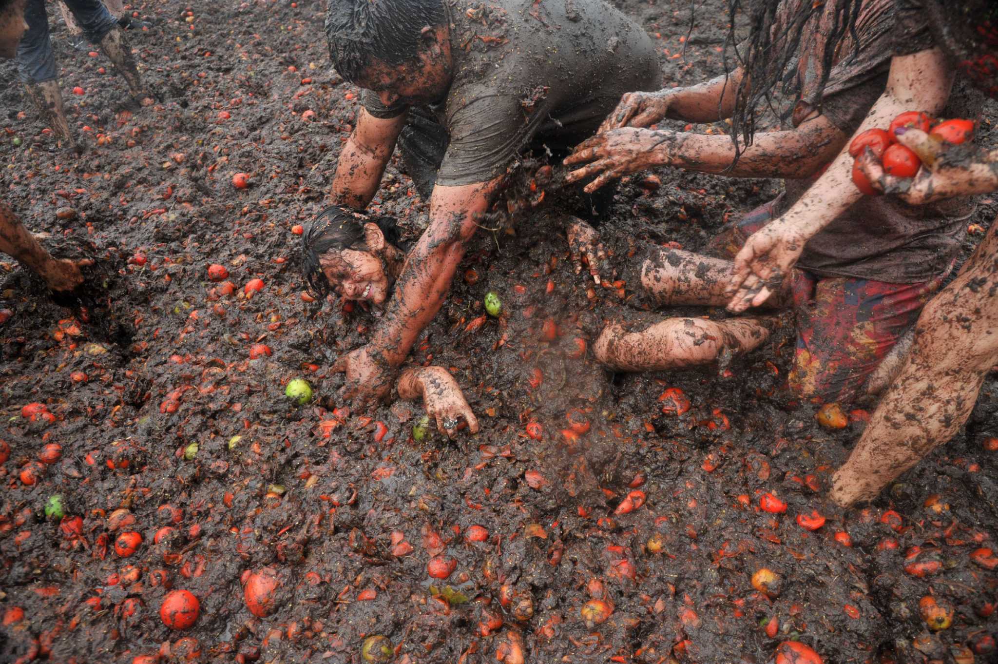 Over-ripe tomato throwing