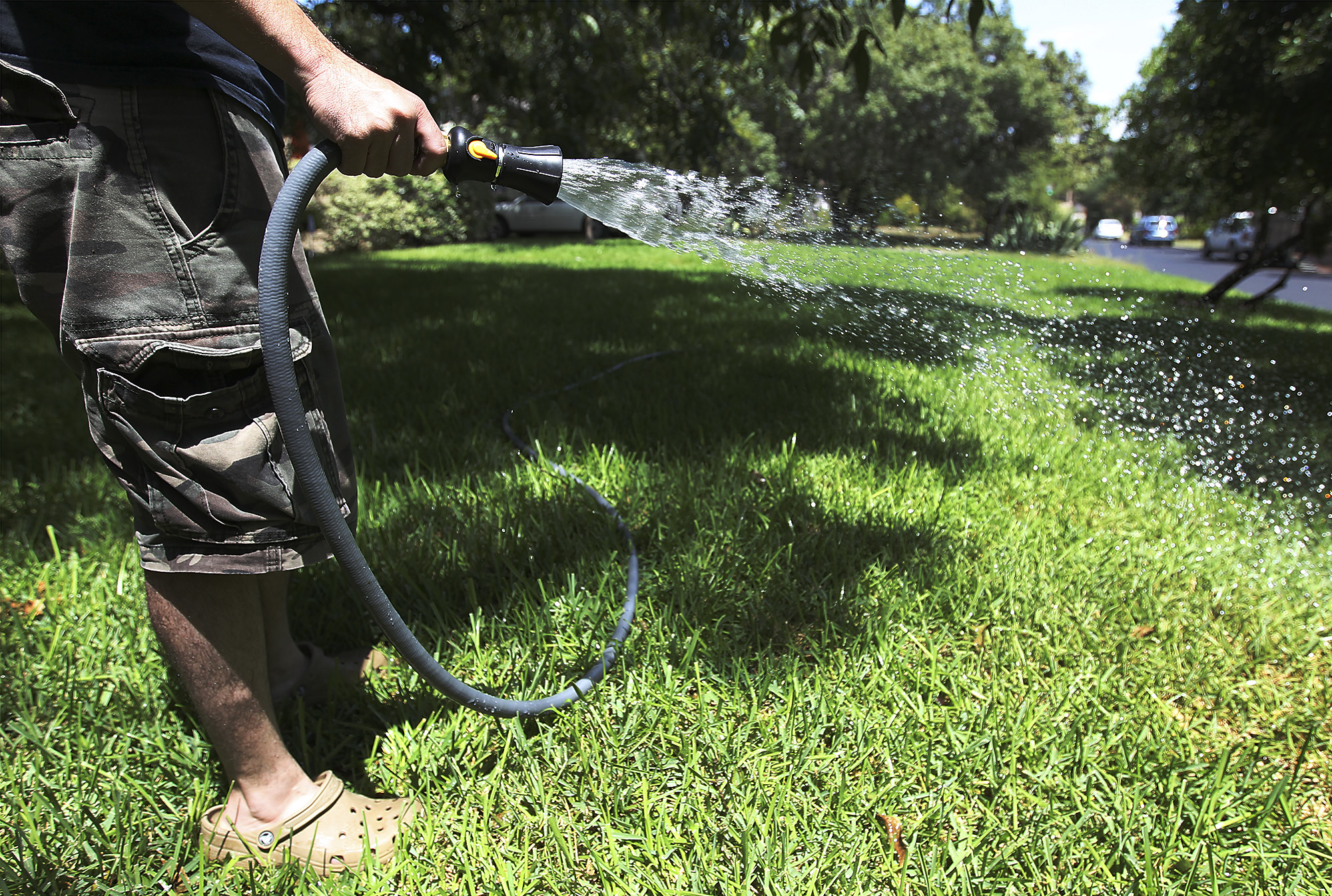 S A Year round Outdoor Watering Limit Put On Hold S A Year round Outdoor Watering Limit Put On Hold