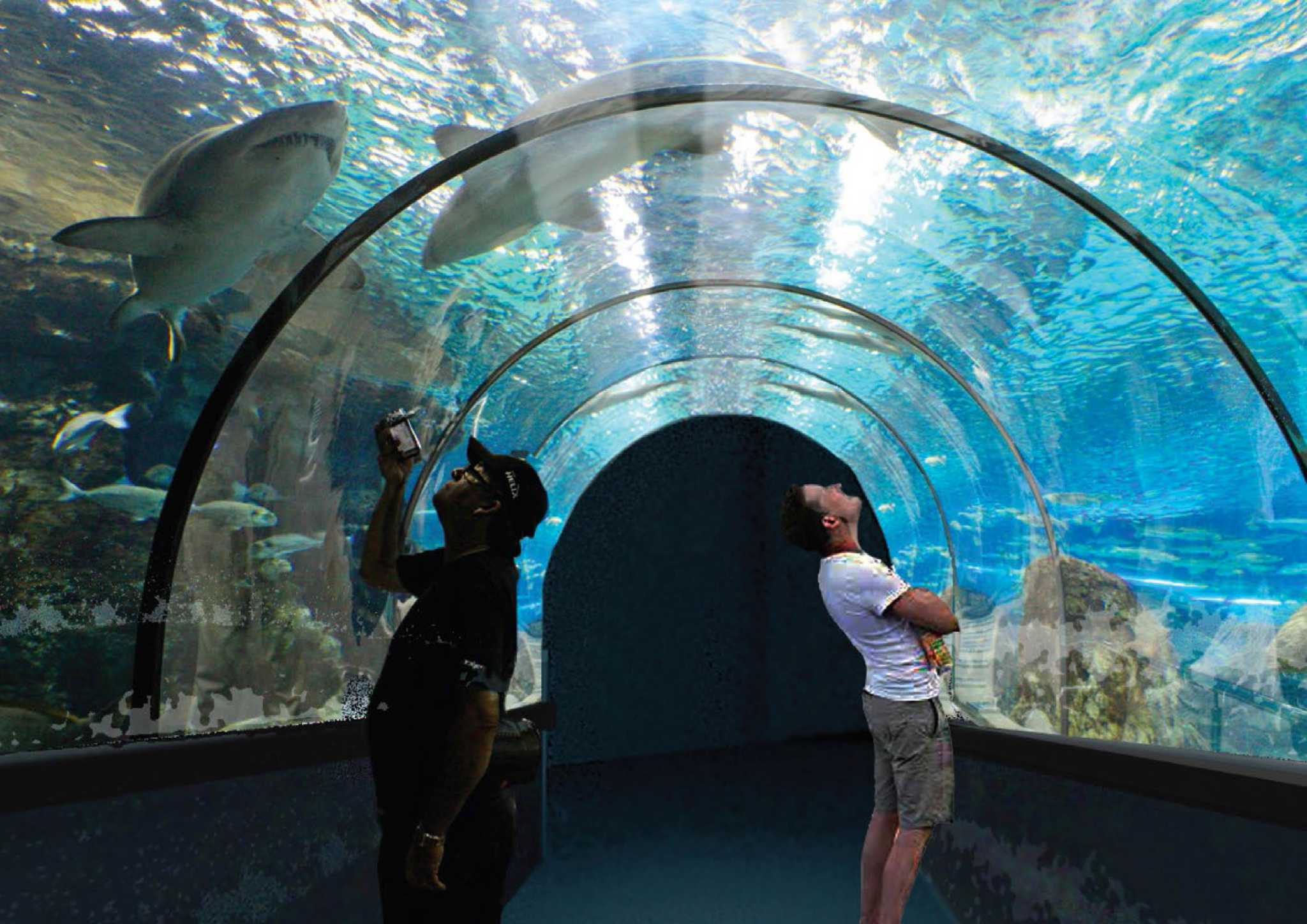 Rotterdam Square Mall's new owner plans aquarium, major updates in $10 ...