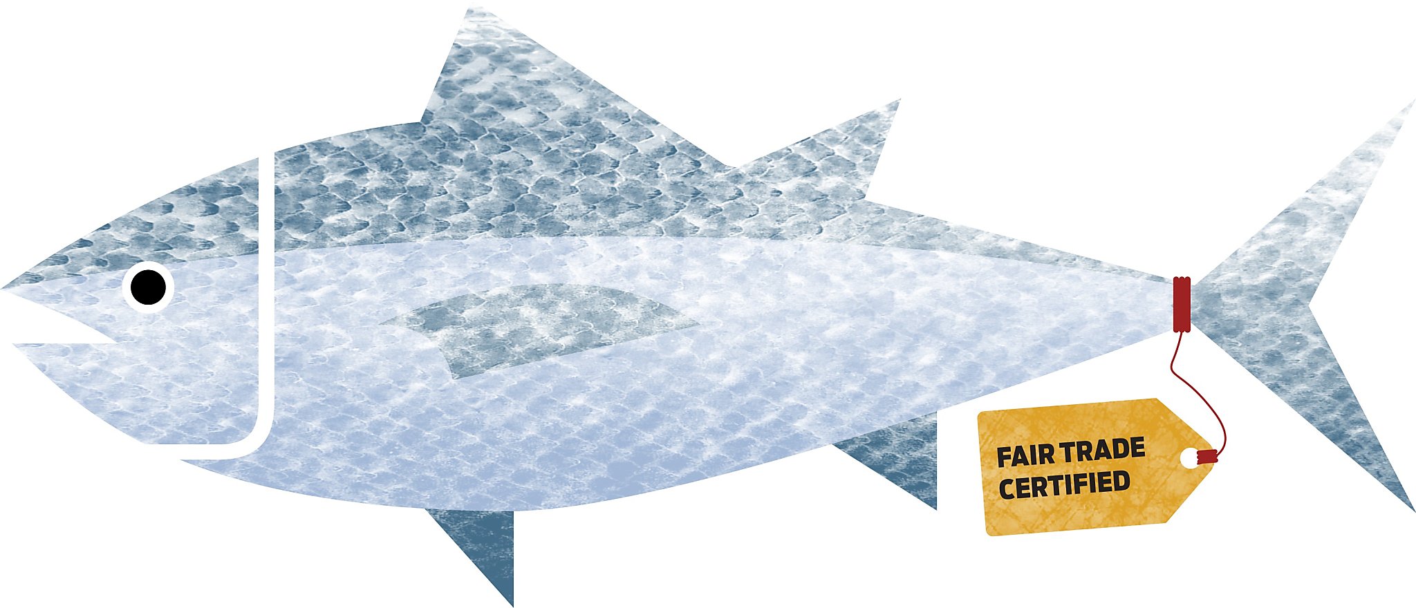 Will Safeway’s fair-trade fish make a splash?