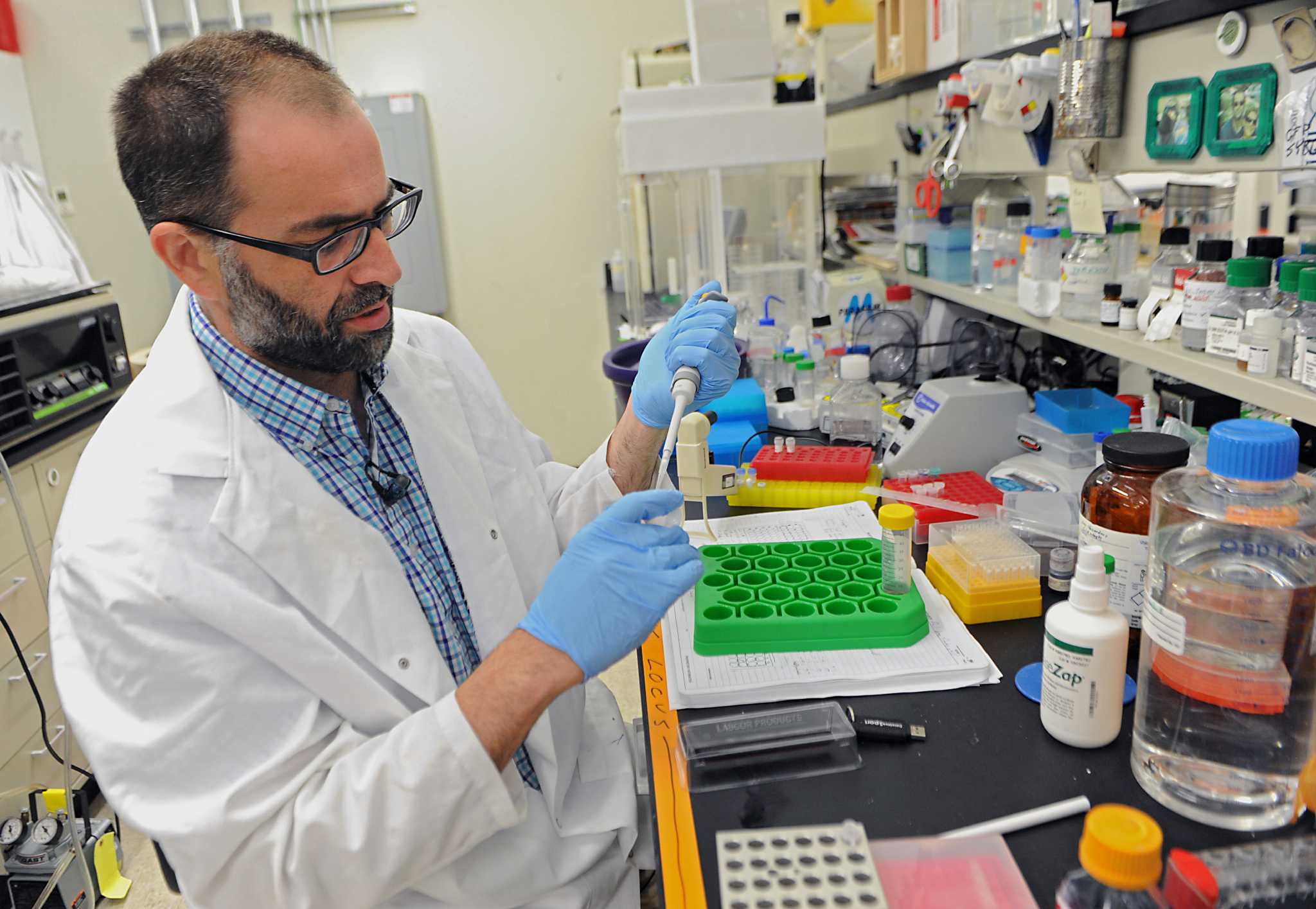 NanoCollege, startup win NIH grant to develop way to kill sick cells