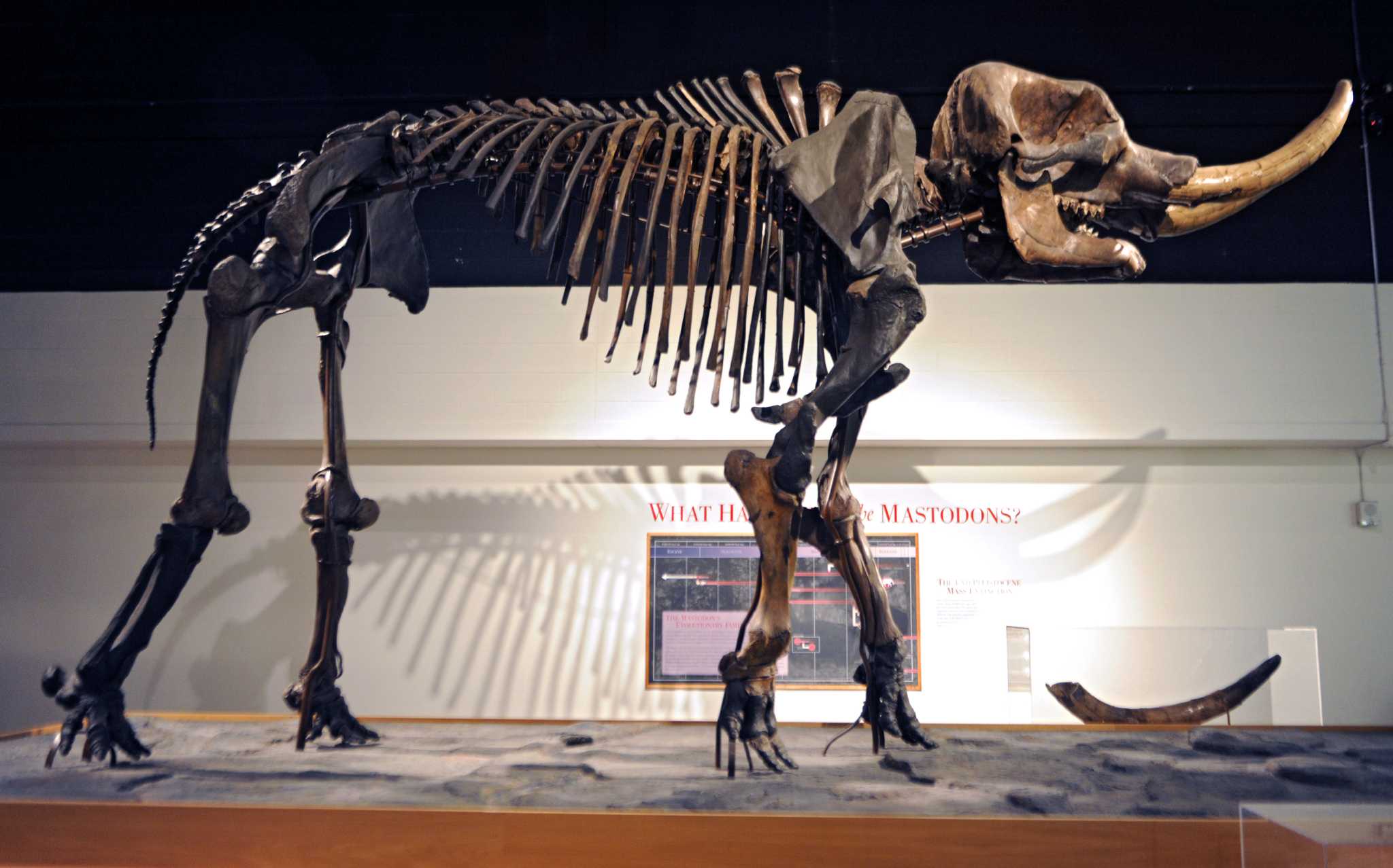 New interactive exhibits coming with State Museum's $14 million renovation