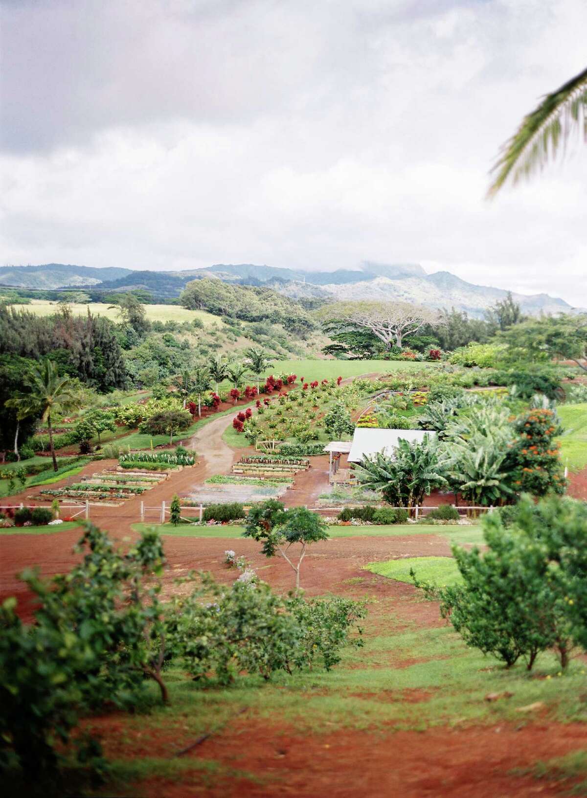 Five beach vacations for families who want more than a beach