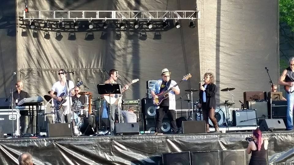 Stamford musicians launch annual rock festival