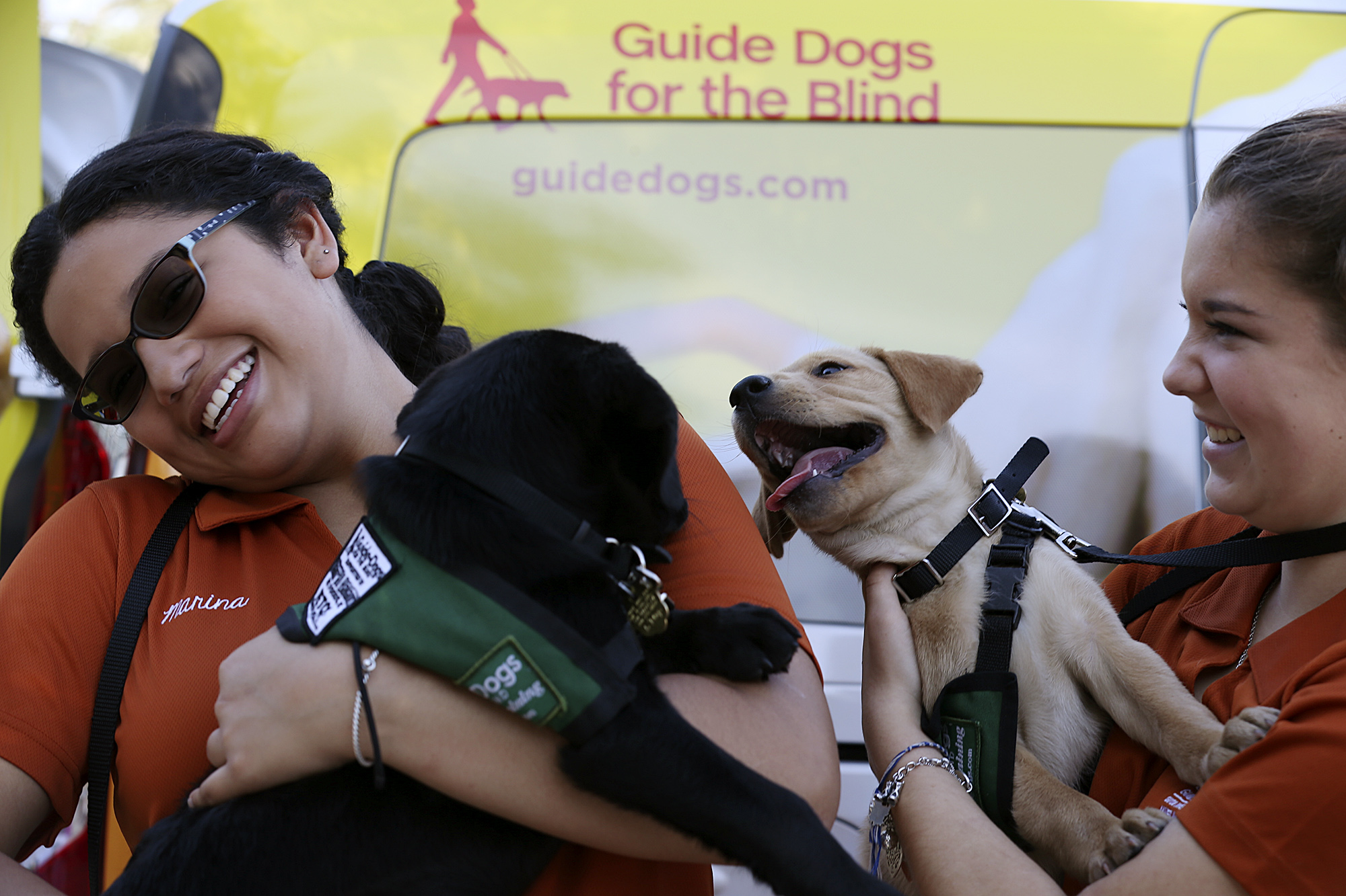 Students training future Guide Dogs