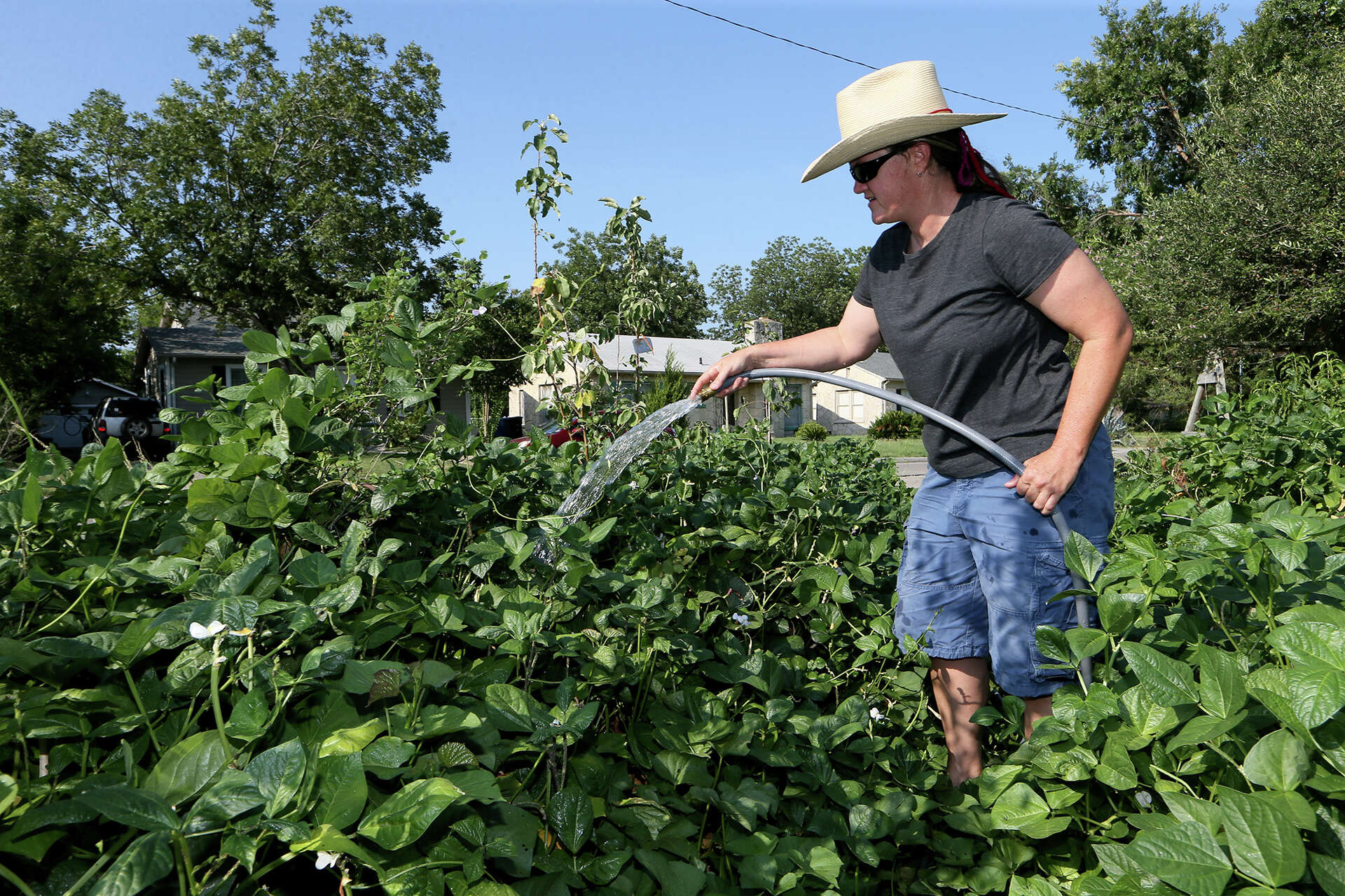 the vegetable farmer