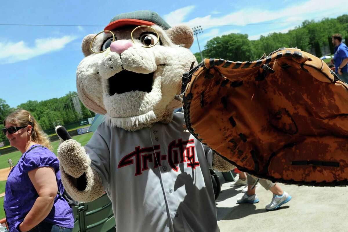 In exhibition against Tri-City ValleyCats, Albany Dutchmen get taste of ...