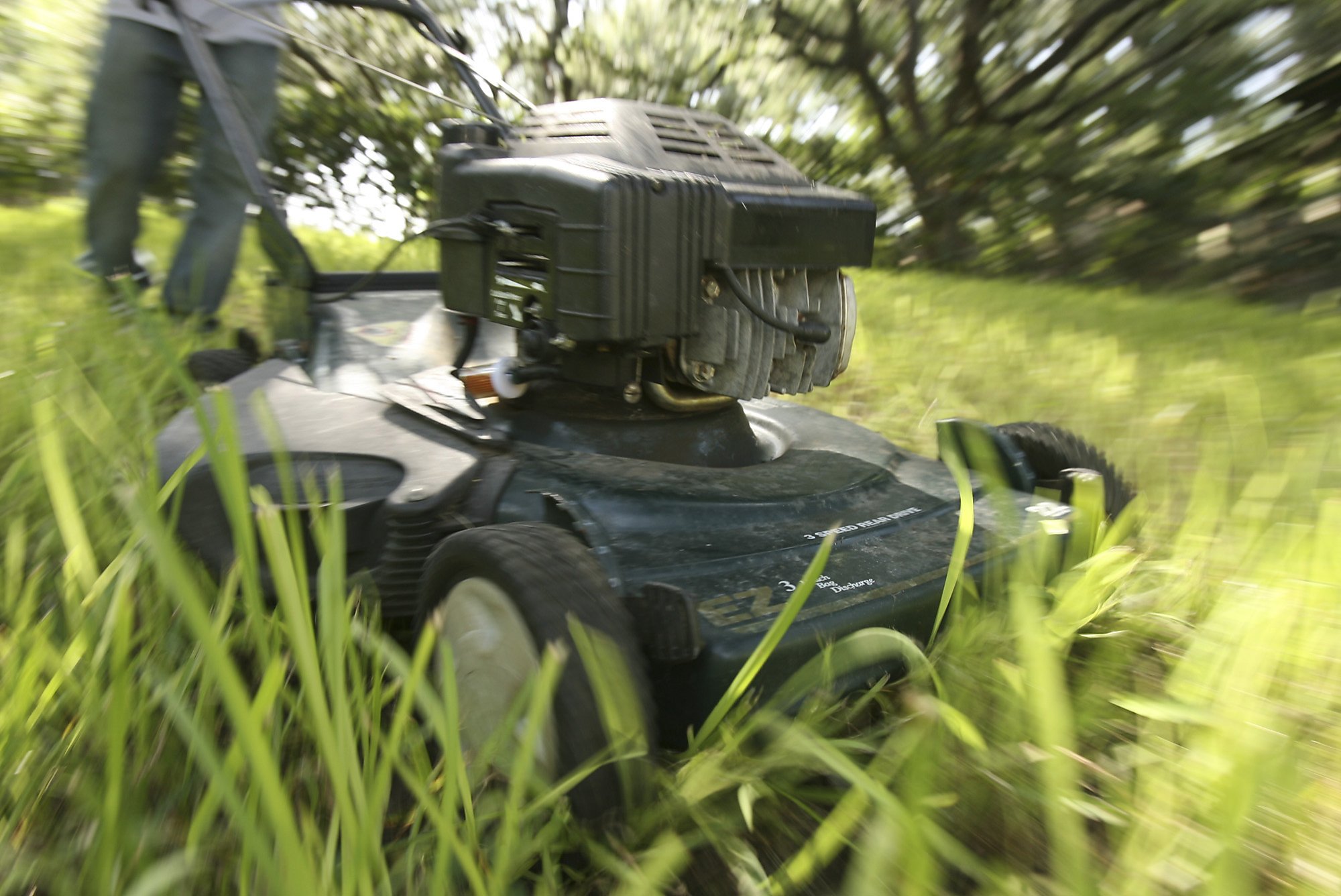 Things that happen when you move to the suburbs