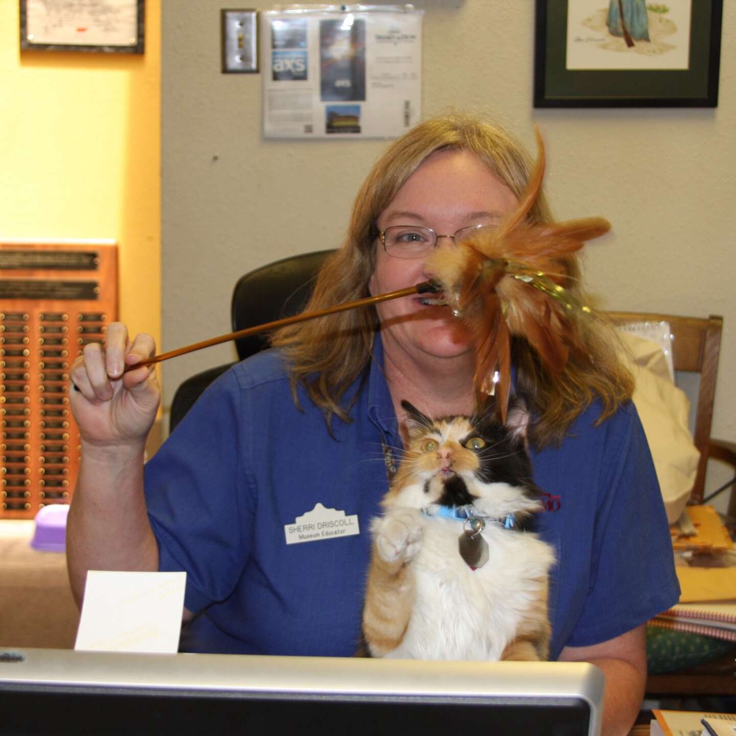 The Alamo has a new official cat and she's extremely adorable