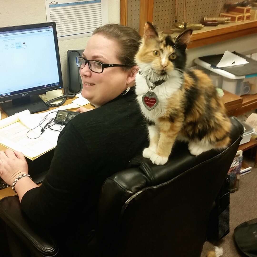 The Alamo has a new official cat and she's extremely adorable