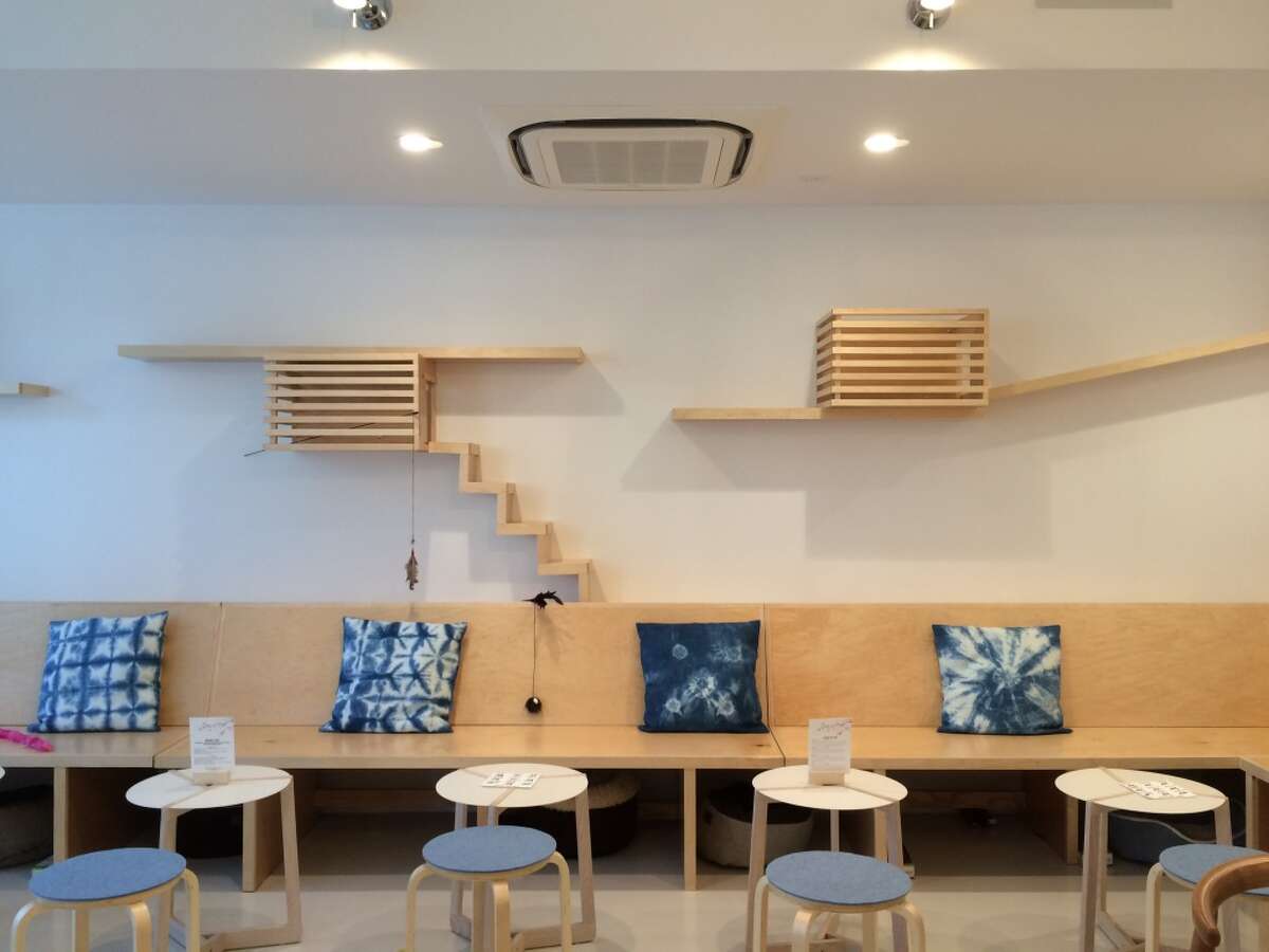 Boom brings cornucopia of restaurants in first half of 2015