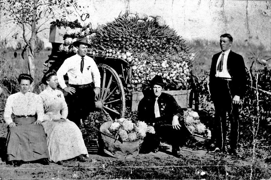 Vegetable growers nourish people, economy