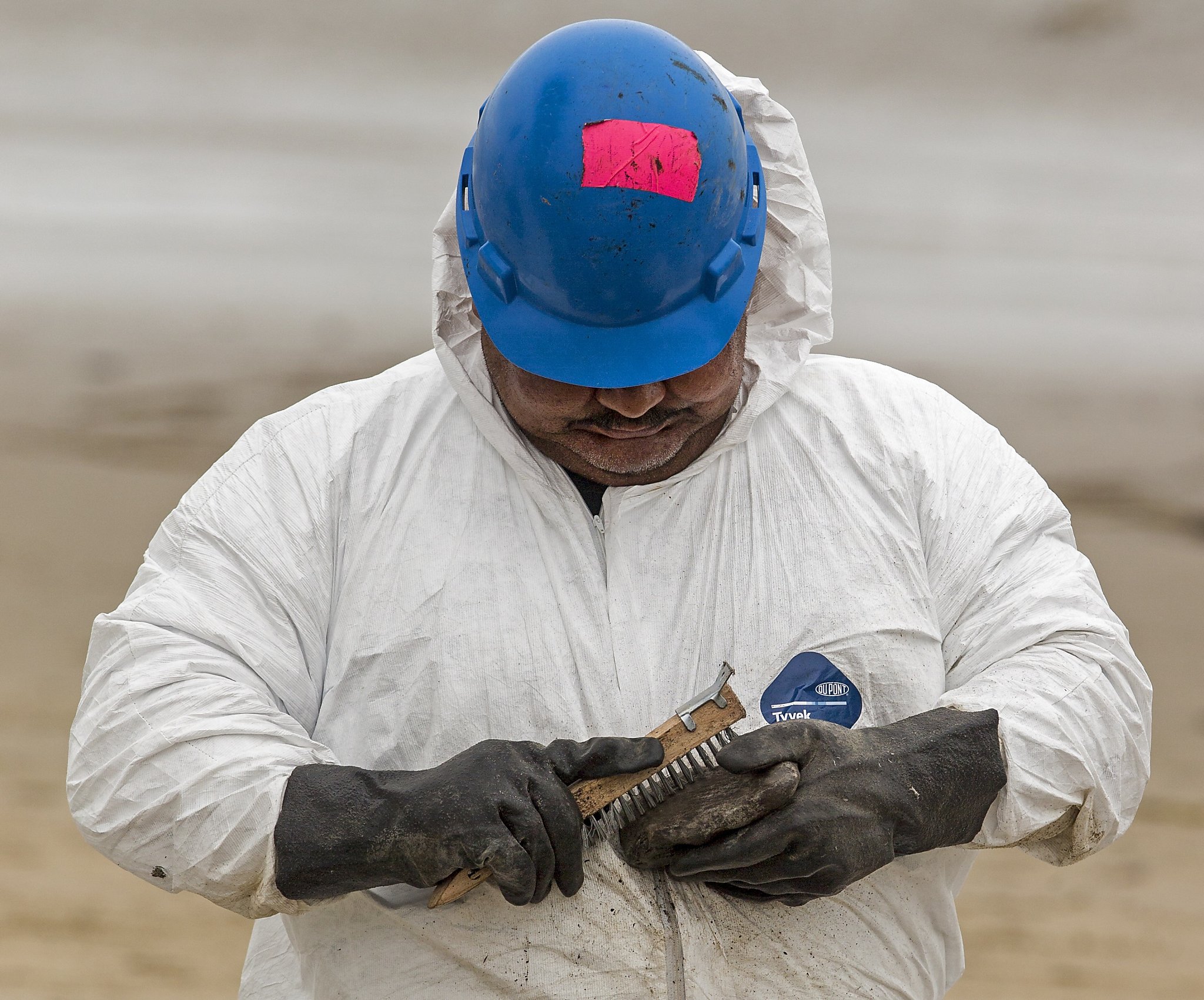 Workers Clean Up California Oil Spill By Hand