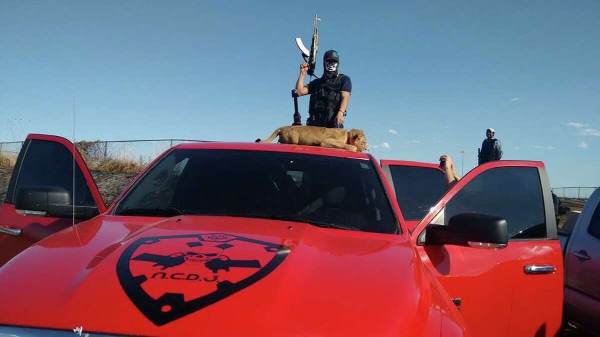 La Linea cartel leaks photos of exotic animals, expensive cars, drugs ...