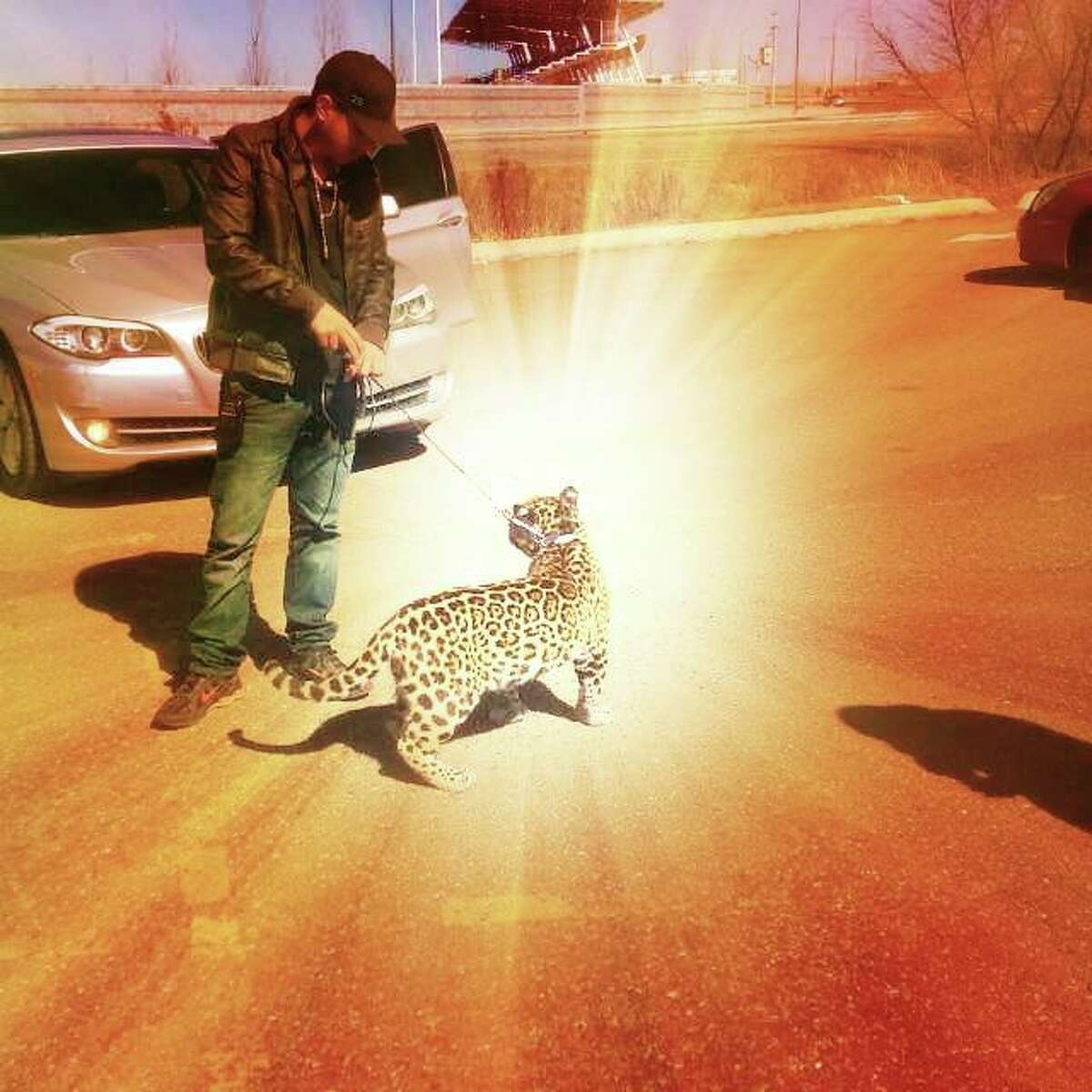 The exotic and dangerous animals of Mexican drug cartels